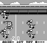 Game Boy Games > Tiny Toon Adventures: Wacky Sports :: Emu-Land.net