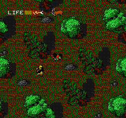 NES Games > Legend of Robin Hood, The :: Emu-Land.net