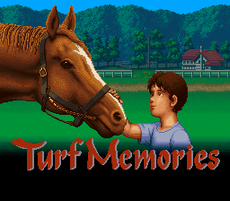 Игры Super Nintendo (SNES) > Turf Memories :: Emu-Land.net