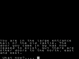 Игры ZX Spectrum > Ring Quest (19xx)(Uburrg Software) :: Emu-Land.net